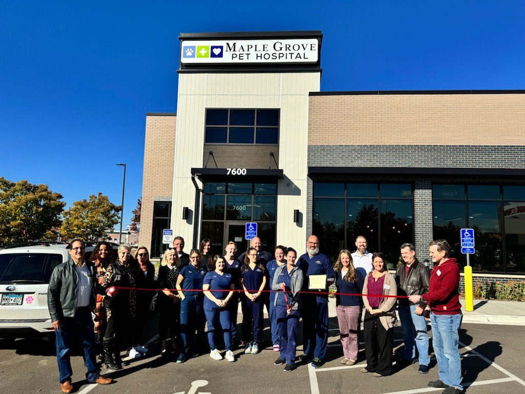 Veterinarian & Animal Hospital in Maple Grove, MN | Maple Grove Pet ...
