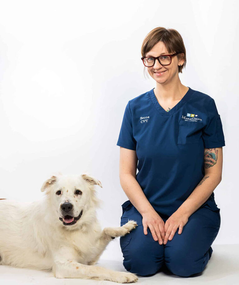 Meet Our Maple Grove Pet Hospital Veterinarians & Vet Technicians