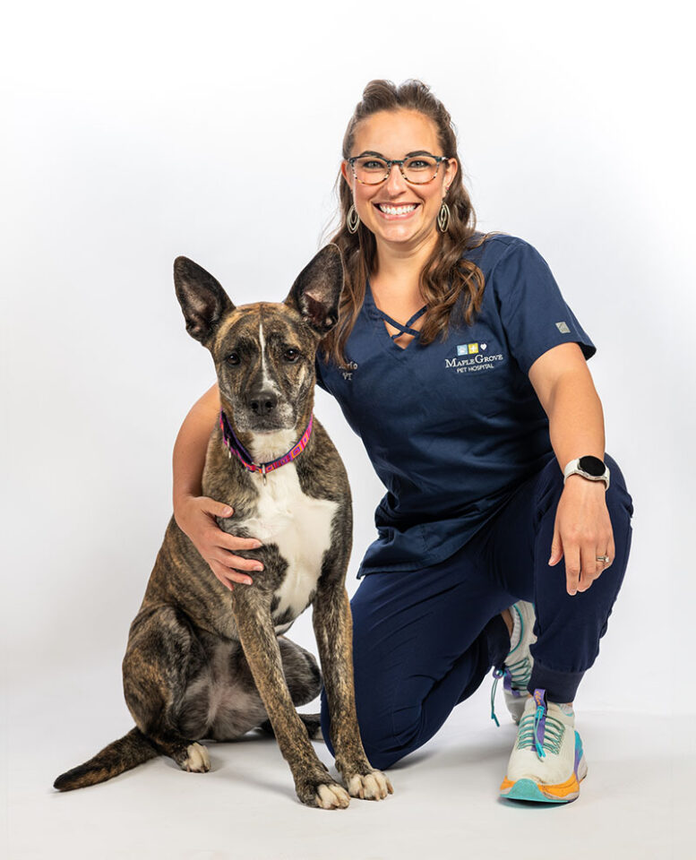 Meet Our Maple Grove Pet Hospital Veterinarians & Vet Technicians